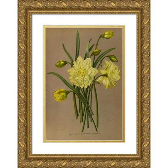 Arentine H. Arendsen 11x14 Gold Ornate Wood Frame and Double Matted ...