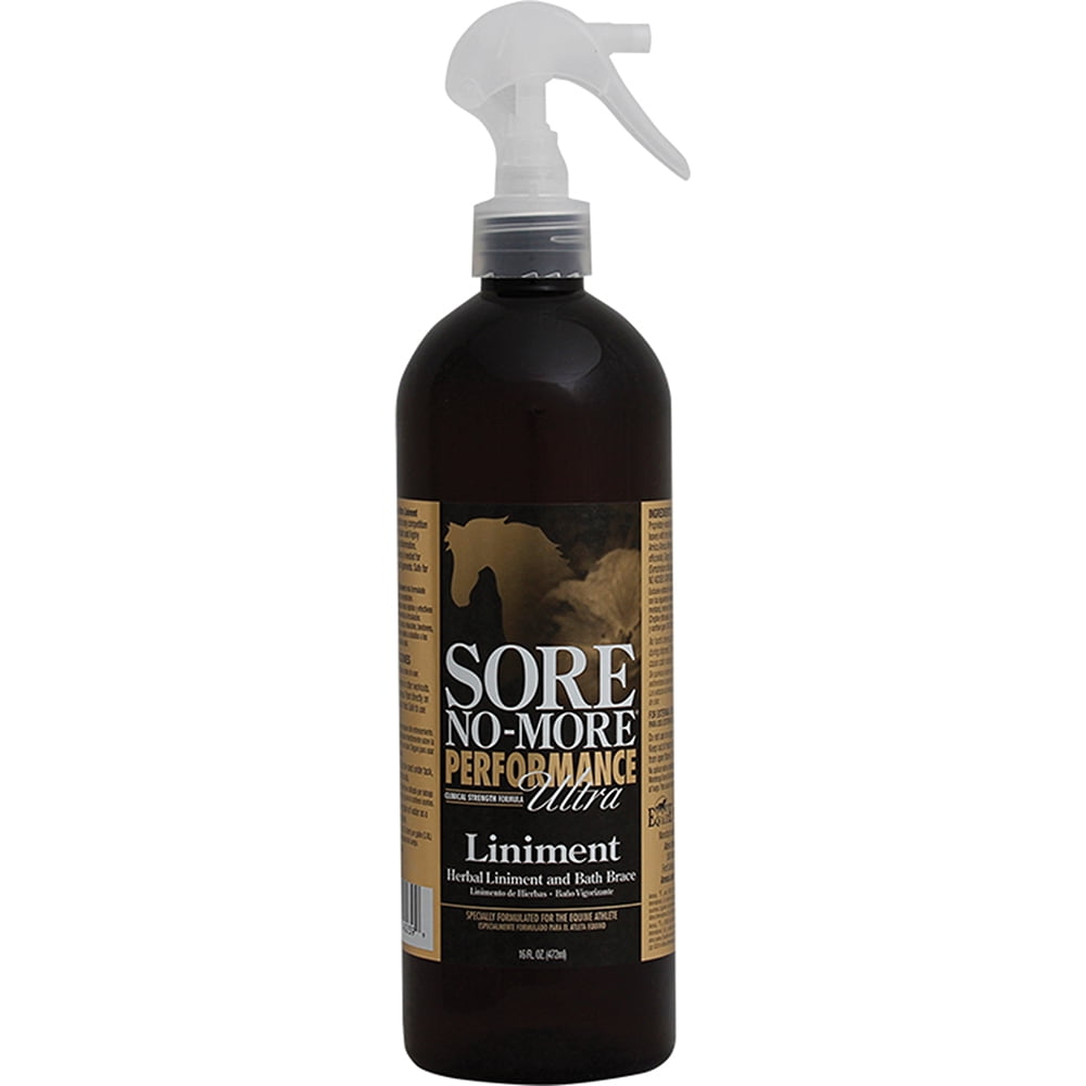 Arenus Sore No-More Perf Ultra Liniment 16oz - Walmart.com