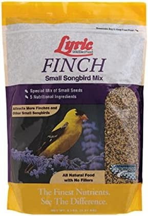 Arett Sales L07 2647404X Finch Wild Bird Seed - Walmart.com