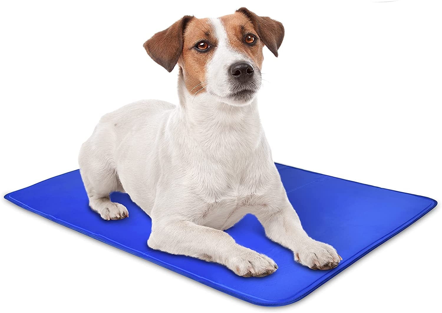 Arf Pets Self-Cooling Gel Mat, Dog & Cat Pad for Kennels, Beds & Small ...