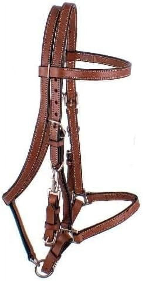 Argentina Cow Leather Halter Bridle Combo$$Sport & Recreation Other ...