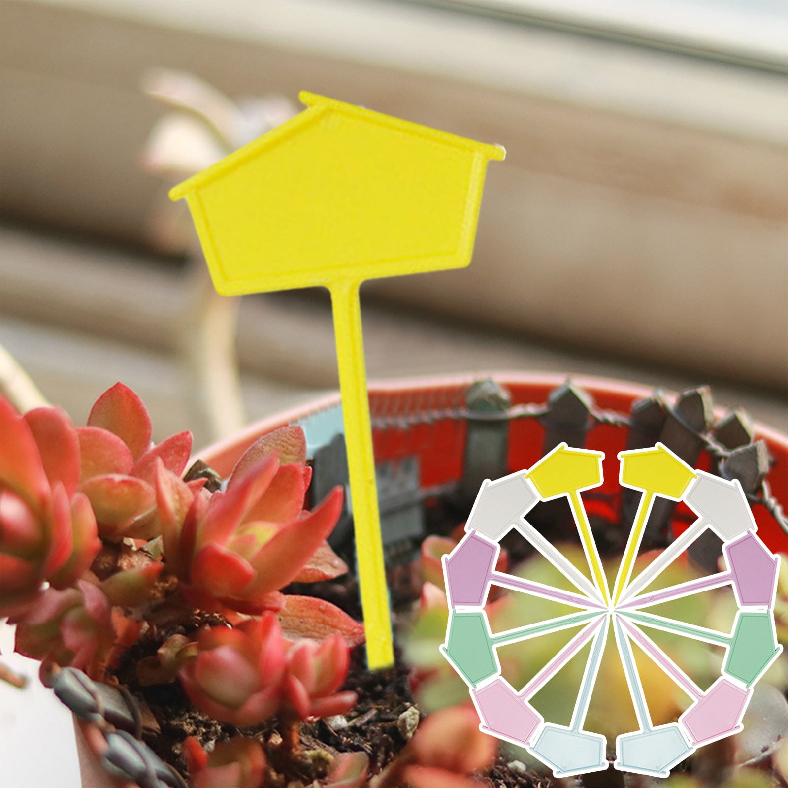 Arghm Plastic Plant Labels,T-Type Garden Tags,12 Pack,Multicolor,DIY ...