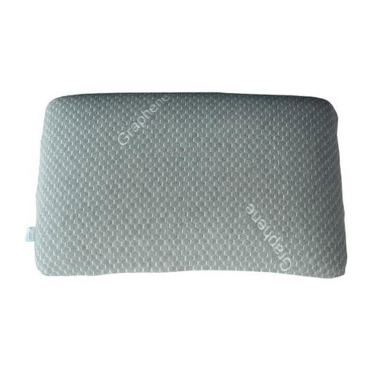 Argon Carbon Secret 6 in 1 Bacteria Protection Pillow - Walmart.com