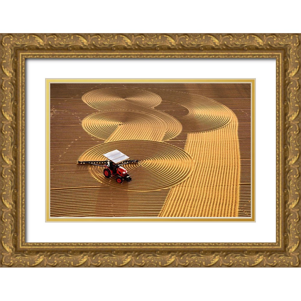 Ari, Nese 24x17 Gold Ornate Wood Framed with Double Matting Museum Art ...