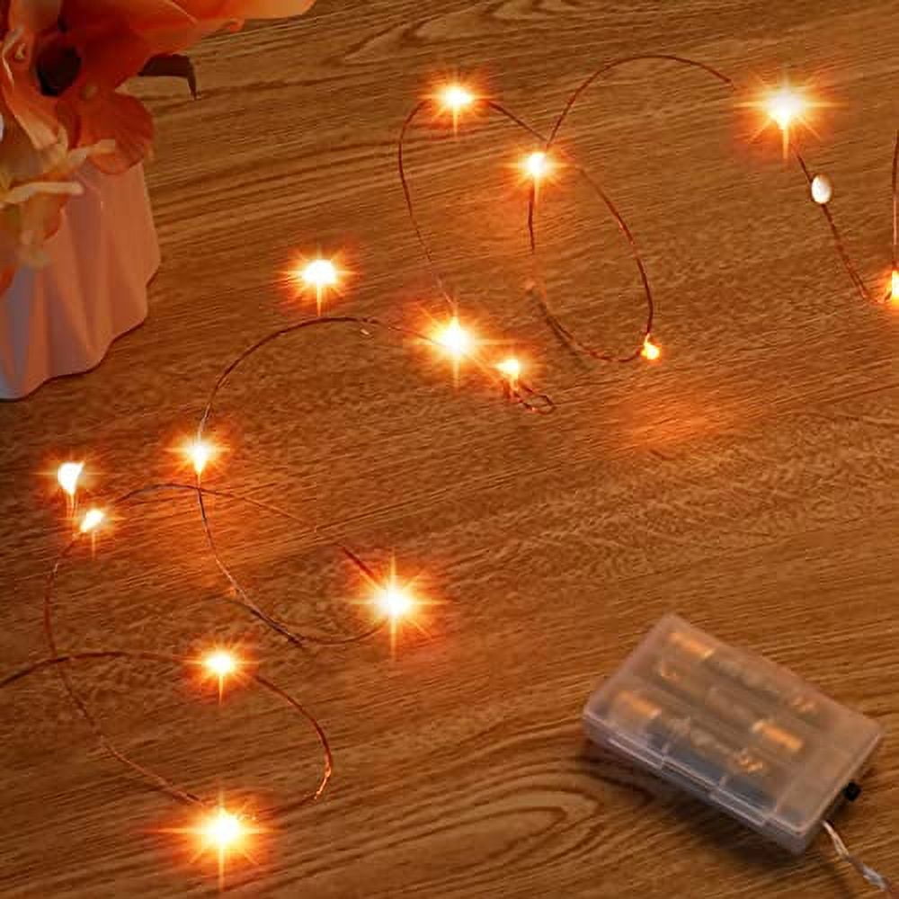 Ariceleo Mini Halloween Fairy Lights Battery Operate, 2 Pack Copper ...
