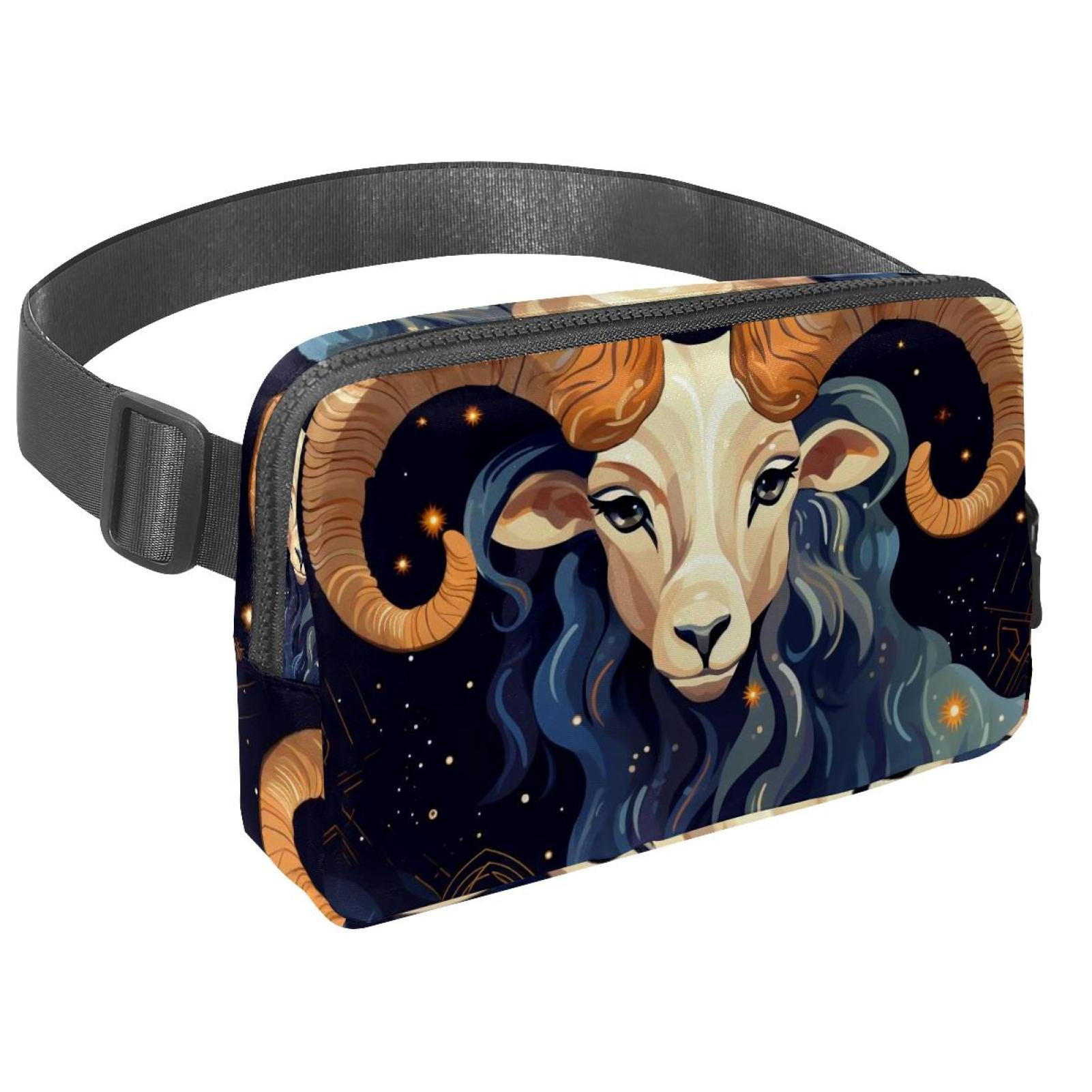 Aries Adjustable Lightweight Unisex Waist Packs Fanny Bag with ...