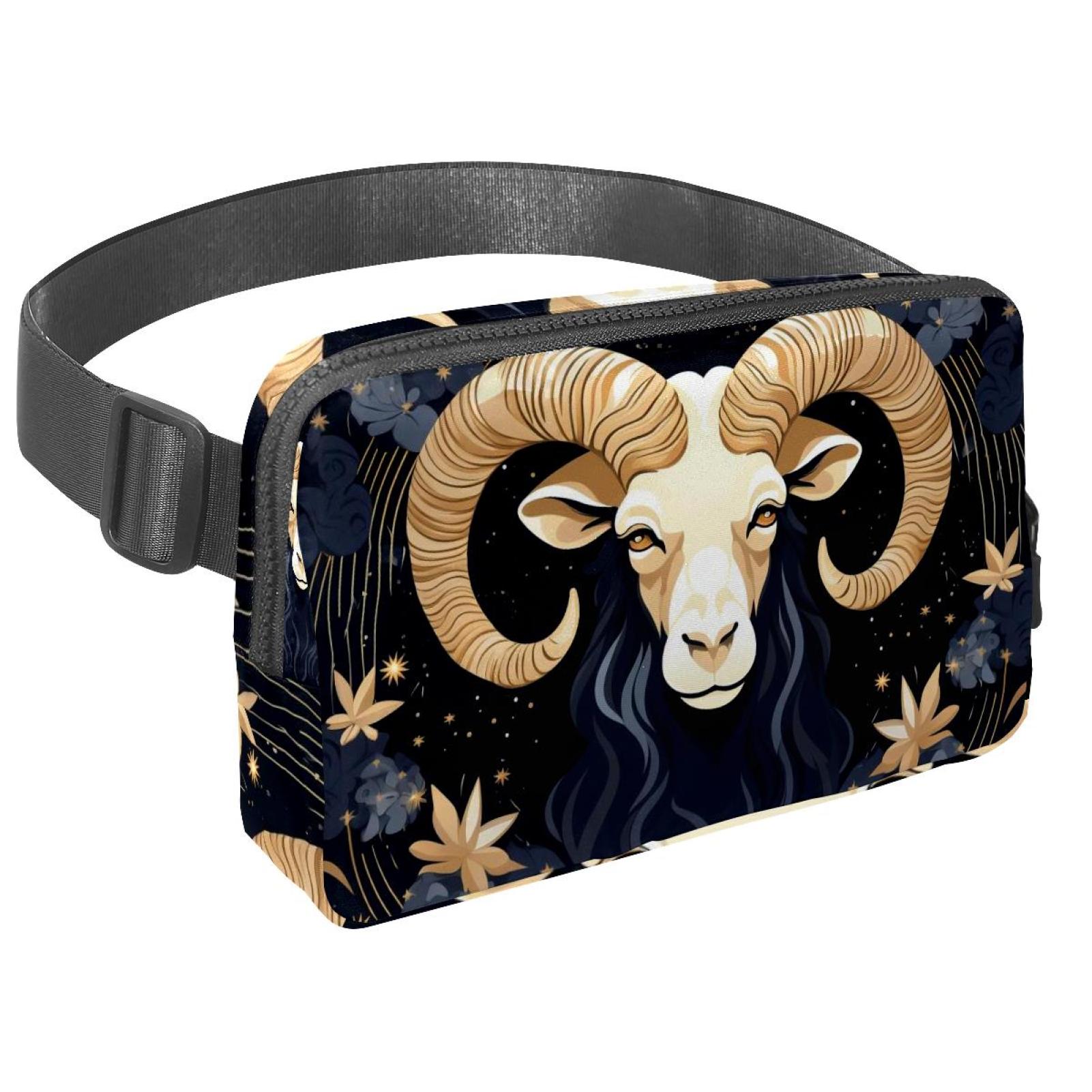 Aries Money Belt Waist Bag with Extension Strap - Lightweight ...