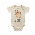 Aries Zodiac Newborn Baby Bodysuit - Walmart.com