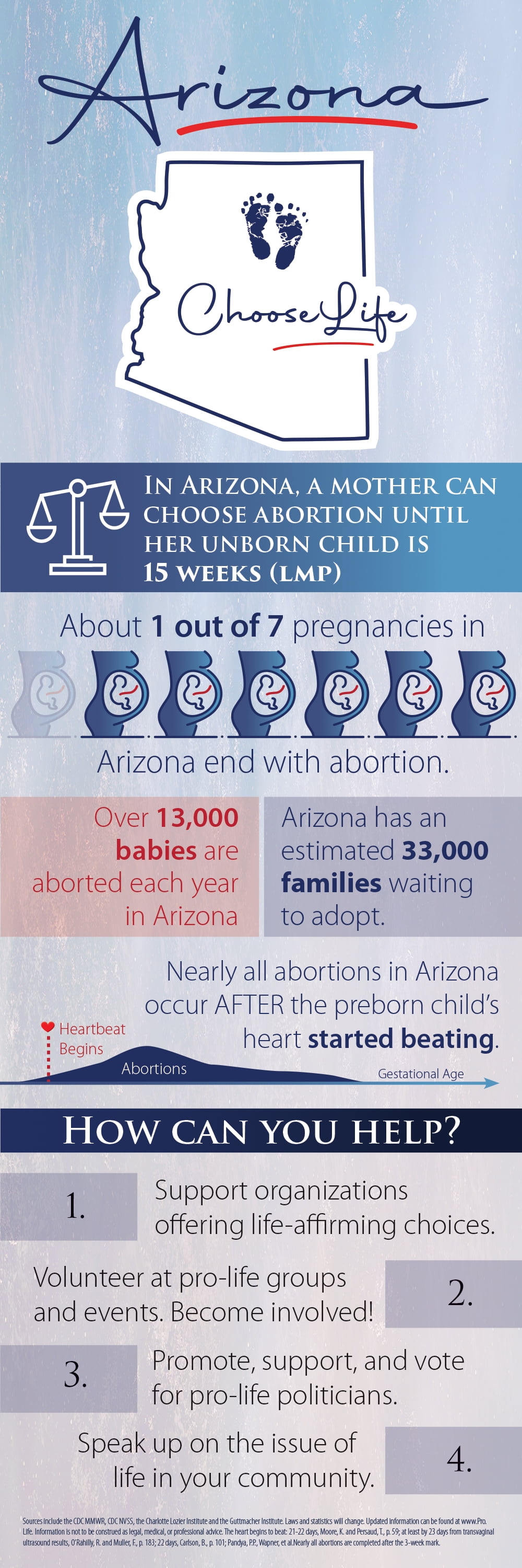 Arizona Banner with Stand Pro-Life Vinyl Sign - Walmart.com