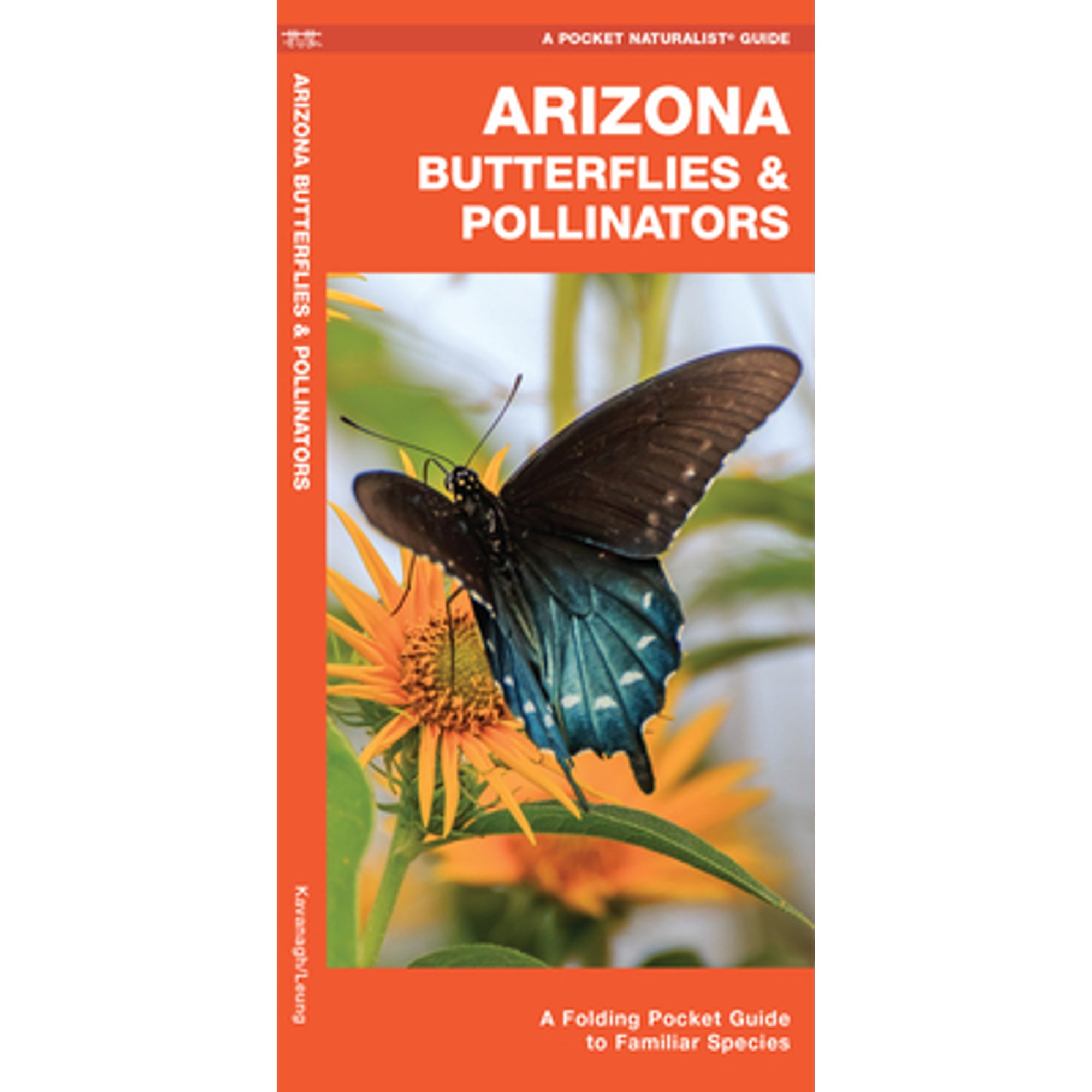 Arizona Butterflies & Pollinators : A Folding Pocket Guide to Familiar ...