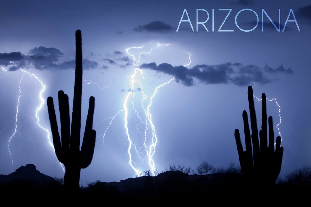 Arizona, Lightning Storm and Cactus Photograph (24x36 Giclee Gallery ...