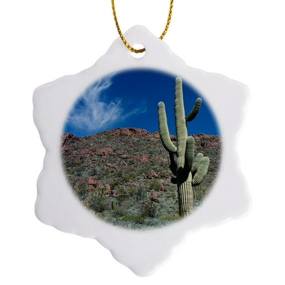 Arizona, Organ Pipe Cactus Nm, Alamo Canyon Trail, Saguaro Cactus, 3 ...