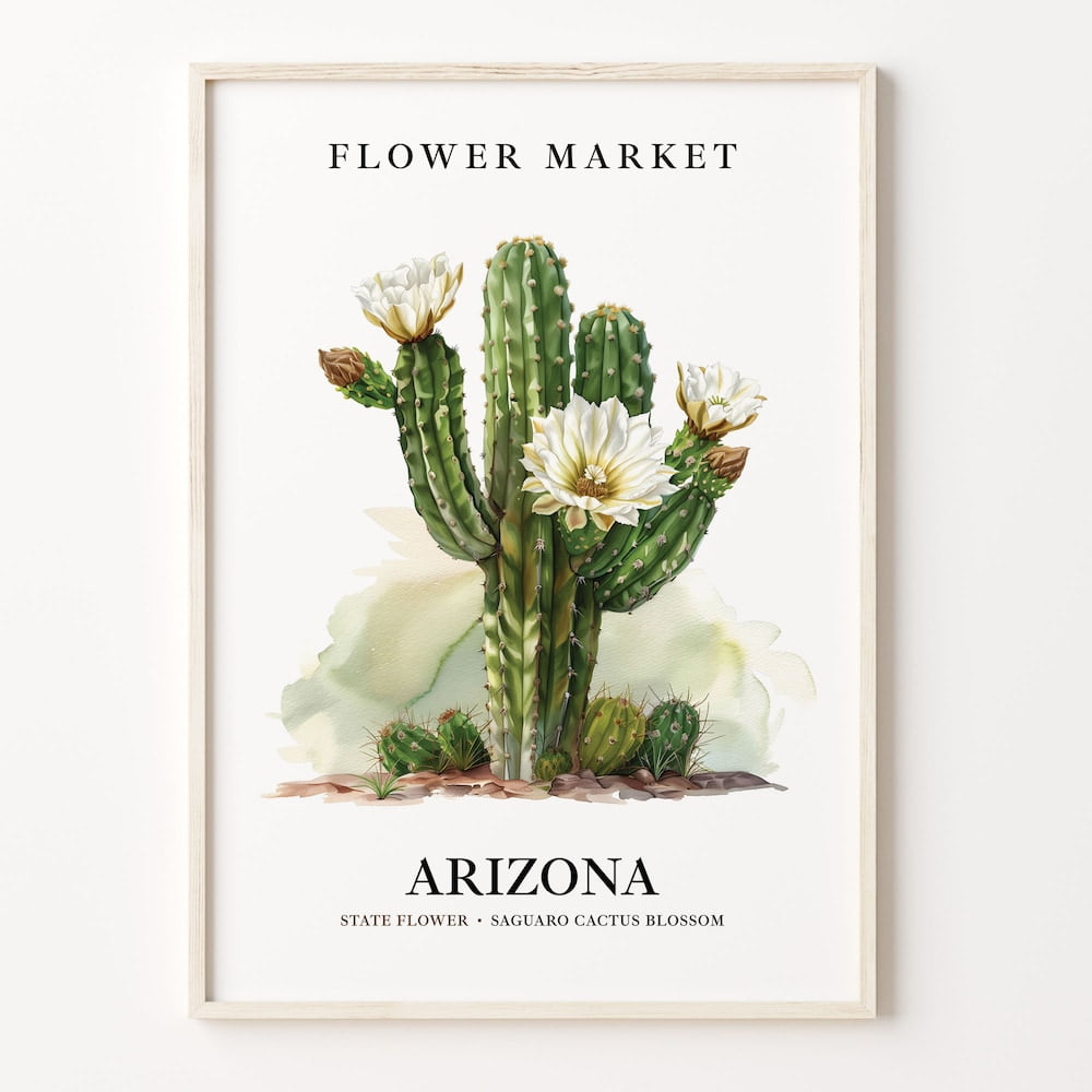 Arizona State Flower Art Print, Saguaro Cactus Blossom, 1960S Wall Art ...