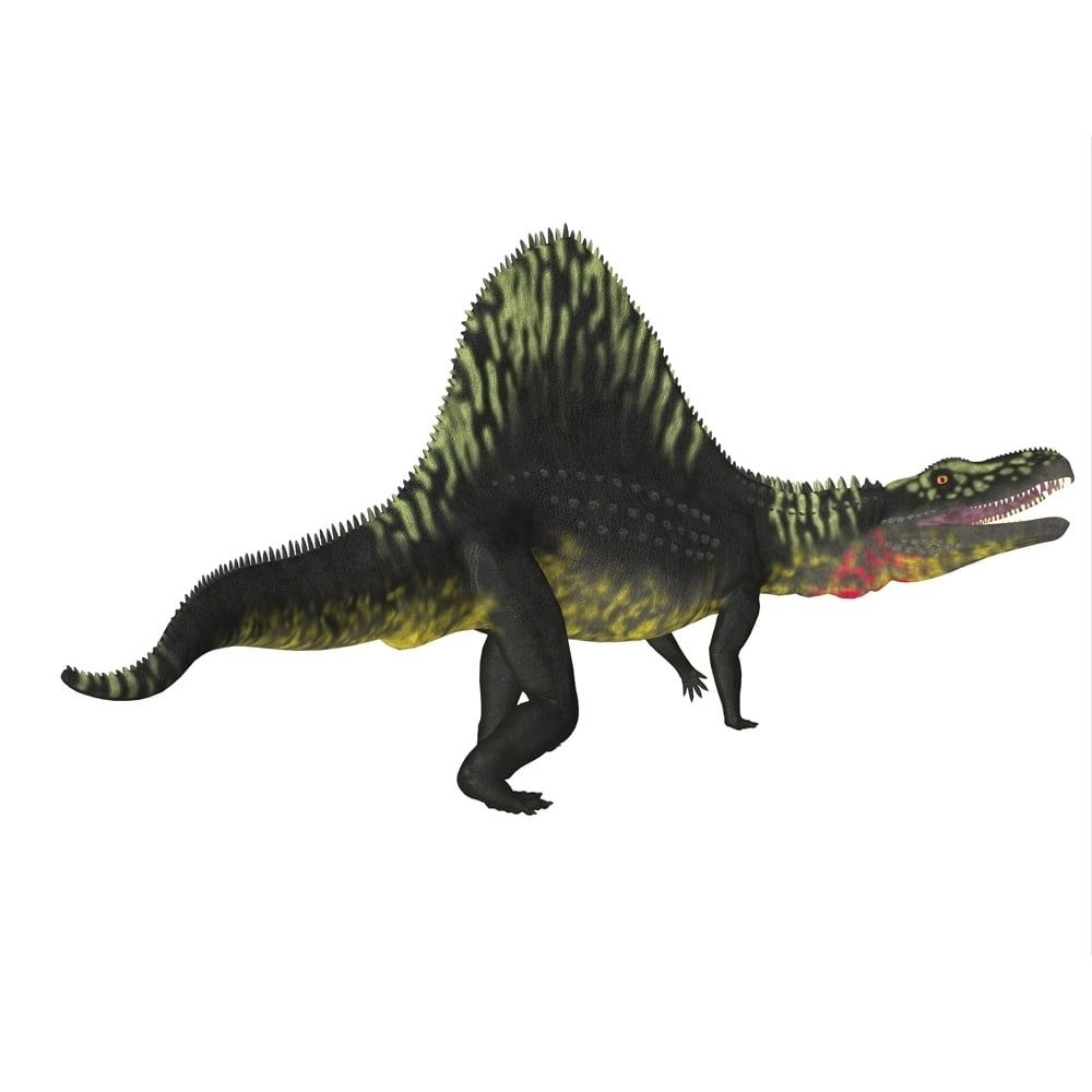 Arizonasaurus dinosaur side profile. Poster Print by Corey Ford ...