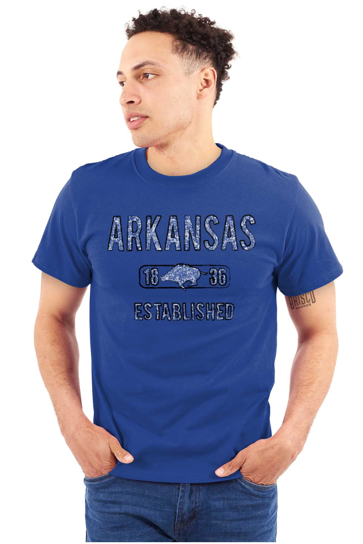 Arkansas Boar Stenciled Distressed Unisex Plus Size Graphic Tee Brisco ...