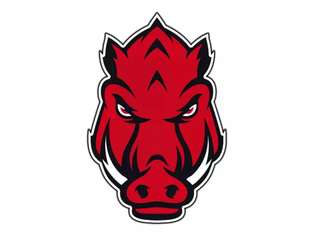 Arkansas Razorbacks Mascot Logo Waterproof Sticker Phone Decal Water ...