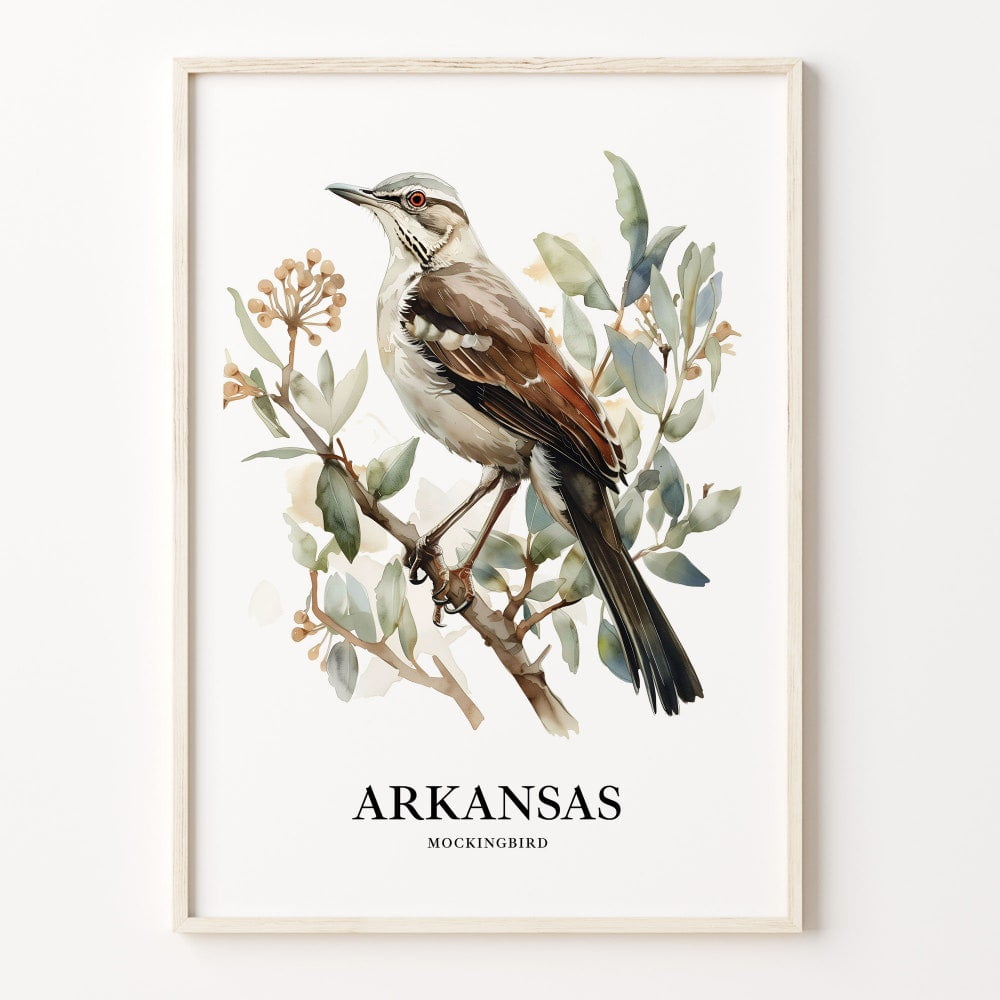 Arkansas State Bird And Flower Art Print, Arkansas Wall Art, Home Decor ...