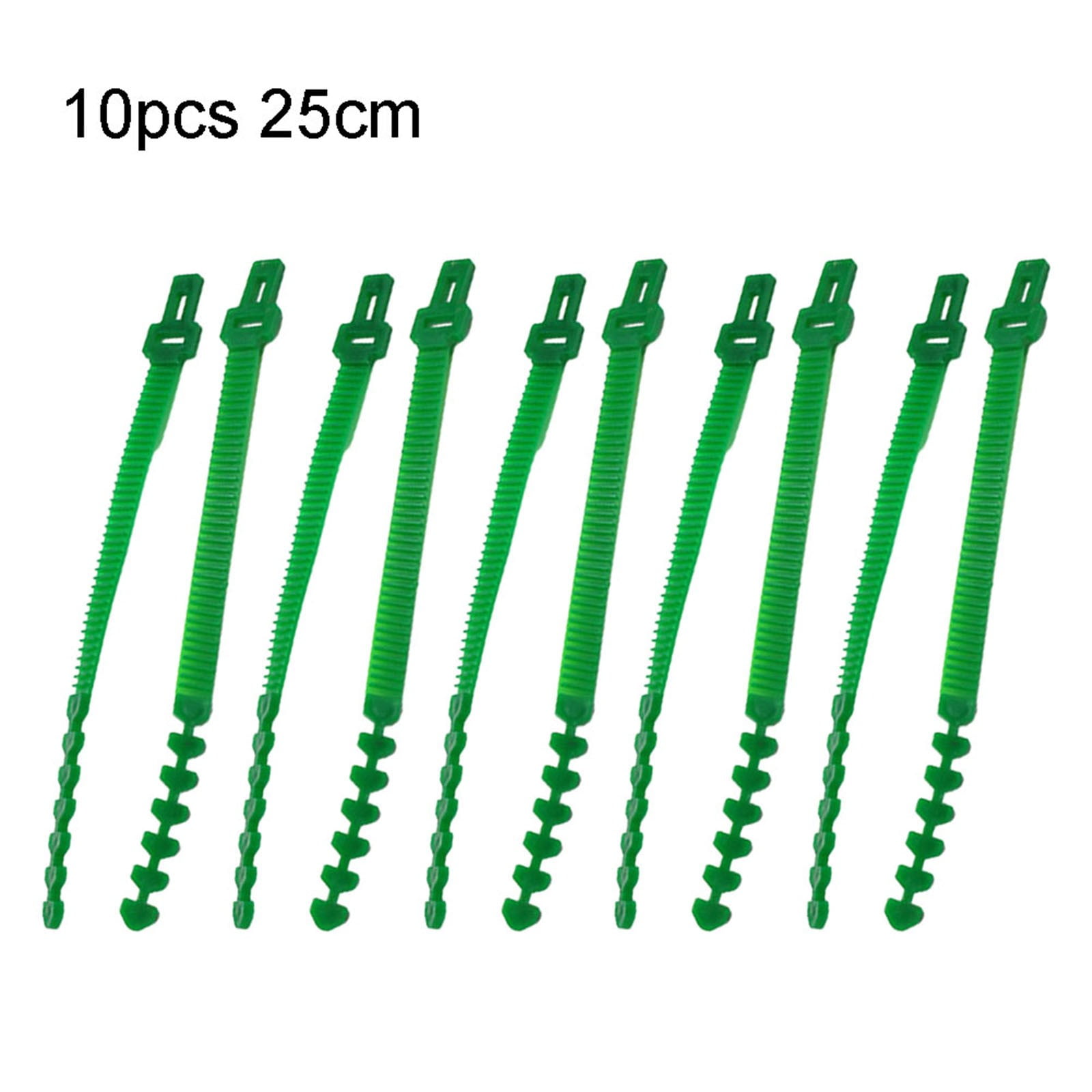 Arkzeo 10Pcs Garden Tree Ties Adjustable Support Straps Plants Trees ...