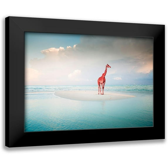 Arlo Wren Photos 14x11 Black Modern Framed Museum Art Print Titled - Oceanic Savannah - Walmart.com