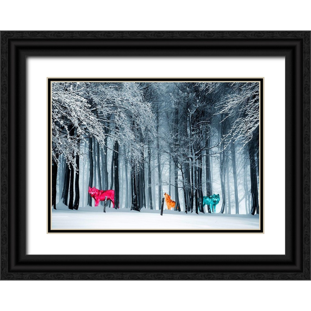 Arlo Wren Photos 18x14 Black Ornate Wood Framed with Double Matting Museum Art Print Titled ...