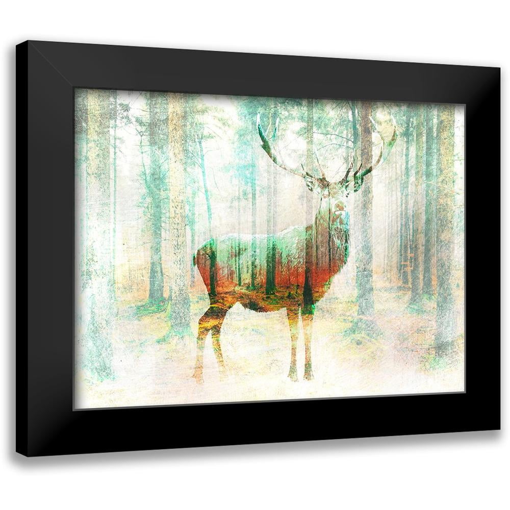 Arlo Wren Photos 18x15 Black Modern Framed Museum Art Print Titled - Lord of the Woods - Walmart.com