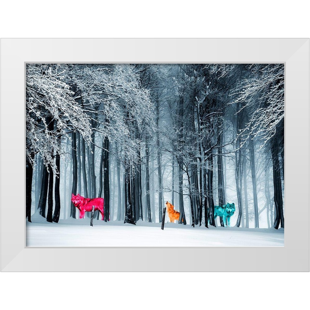Arlo Wren Photos 24x18 White Modern Wood Framed Museum Art Print Titled - Kings of the Wild ...