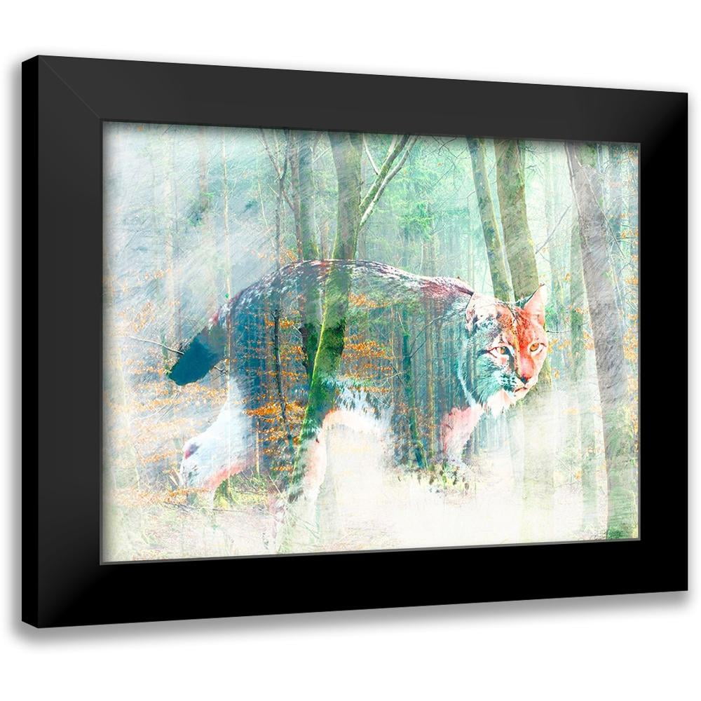 Arlo Wren Photos 24x19 Black Modern Framed Museum Art Print Titled - Silent Hunter - Walmart.com