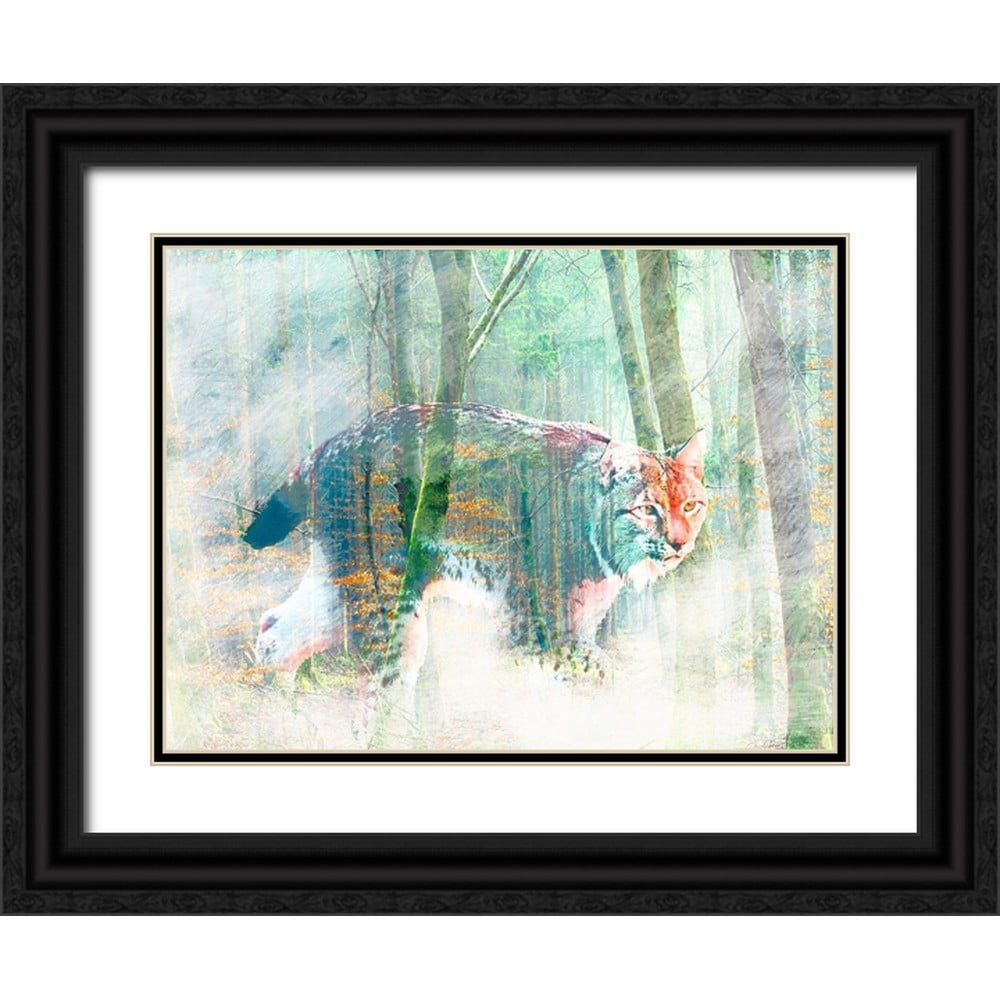 Arlo Wren Photos 32x25 Black Ornate Wood Framed with Double Matting ...