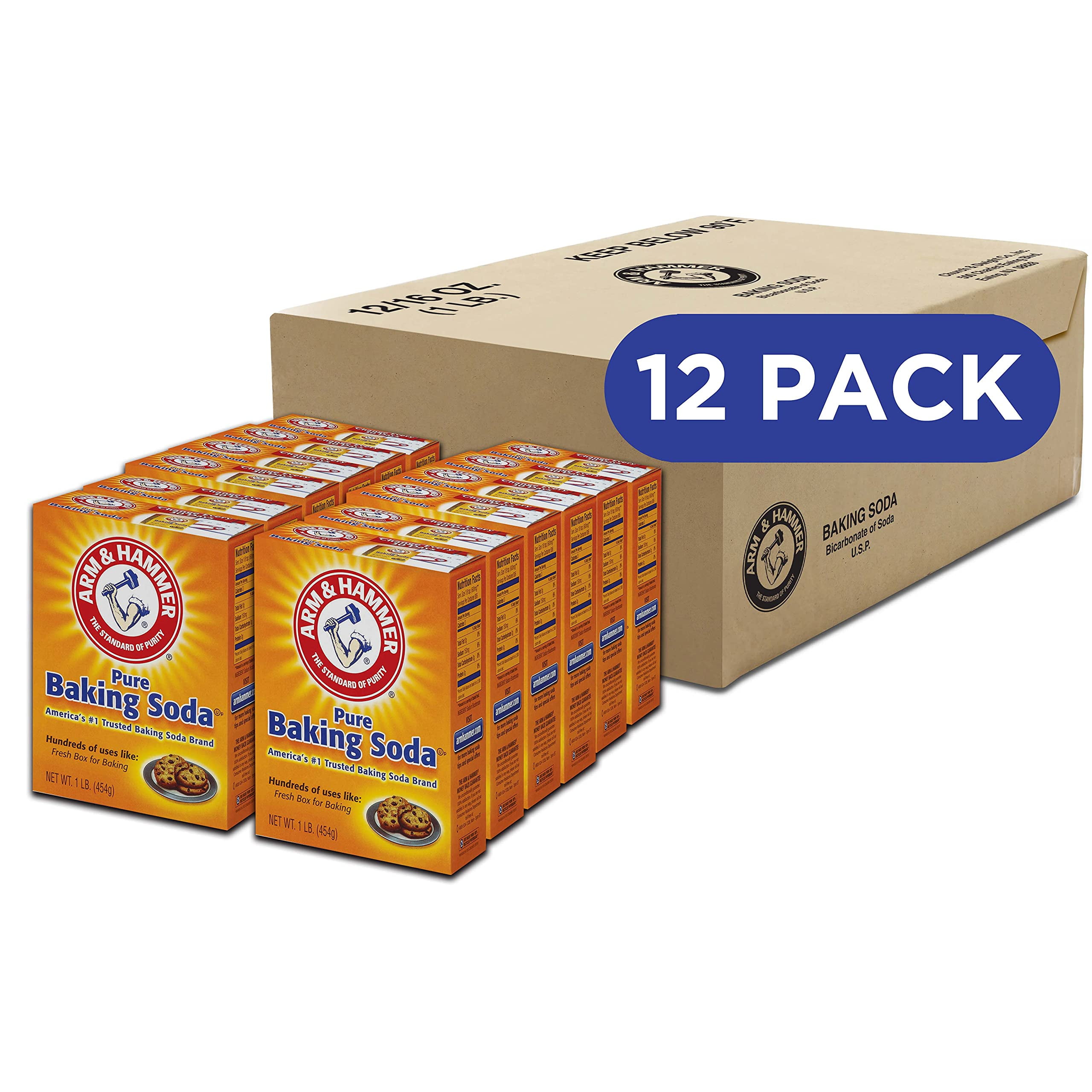 Arm & Hammer Baking IEF31 Soda, 1 Pound (Pack of 12) - Walmart.com