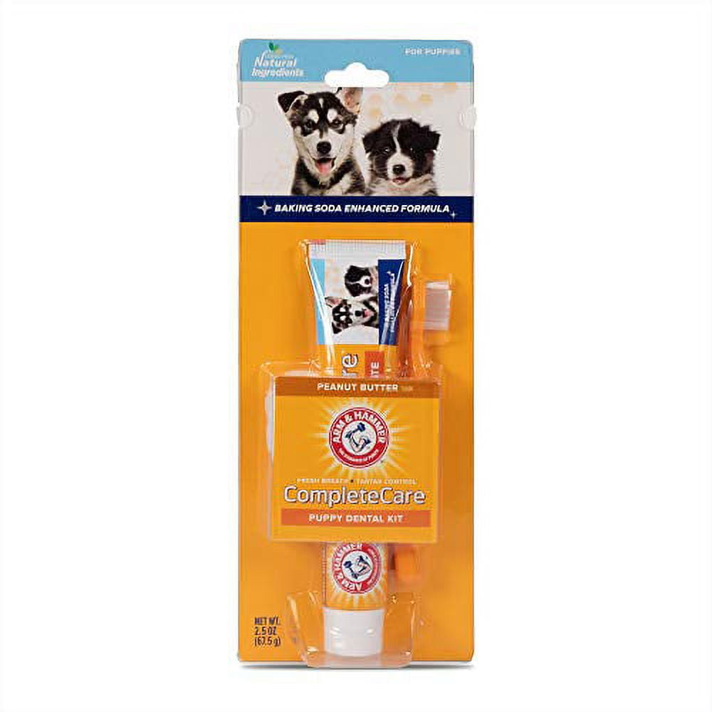 Arm & Hammer CompleteCare Puppy Dental Kit Peanut Butter -- 1 Kit ...