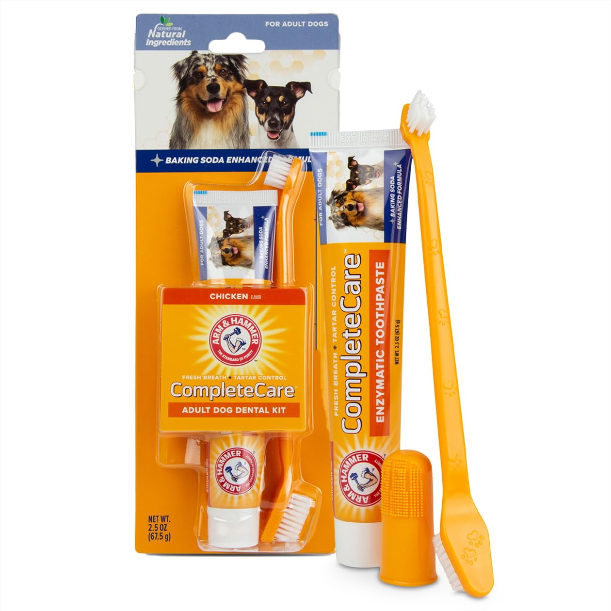 Arm & Hammer Dog DHF10 Dental Kit - Enzymatic Dog Toothpaste Flavor ...