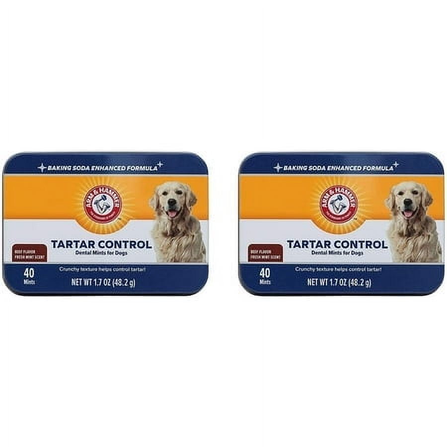 Arm & Hammer for Pets Tartar Control Dental Mints for Dogs | Dog Dental ...