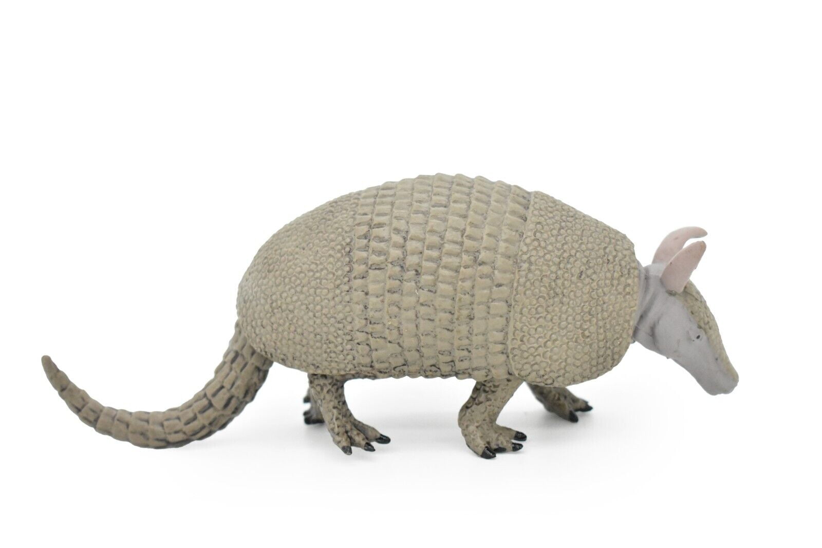 Armadillo Toy, Very Realistic Rubber Figure, Model, Educational, Animal ...