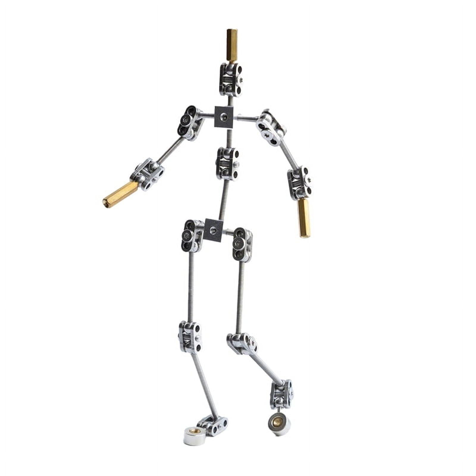 Armature Kit - DIY Metal Puppet Figure Skeleton, Easy to Assemble ...