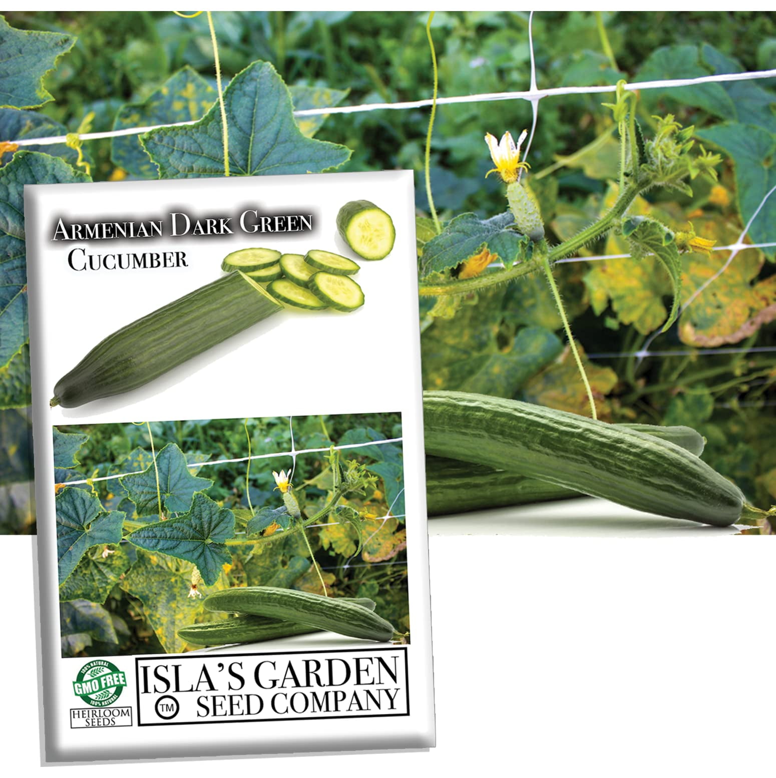 Armenian Dark GreenITSC Cucumber Seeds (Cucumis sativus) - 100+ Non-GMO Seeds by Isla’s Garden ...
