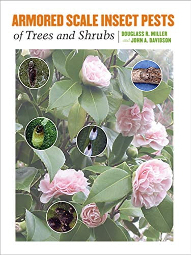 Pre-Owned Armored Scale Insect Pests of Trees and Shrubs (Hemiptera ...
