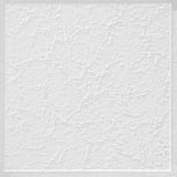 Armstrong GRENOBLE 1x1 Acoustic Ceiling Tiles, Decorative Adhesive ...