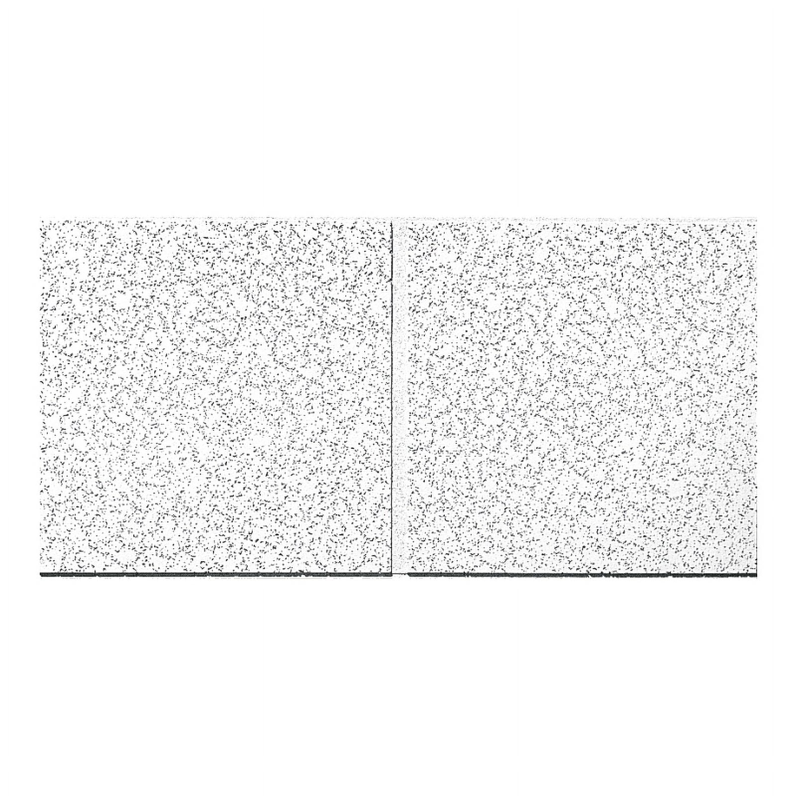 Armstrong CORTEGA SECOND LOOK 2x4 Acoustic Drop Ceiling Panels, 10 ...