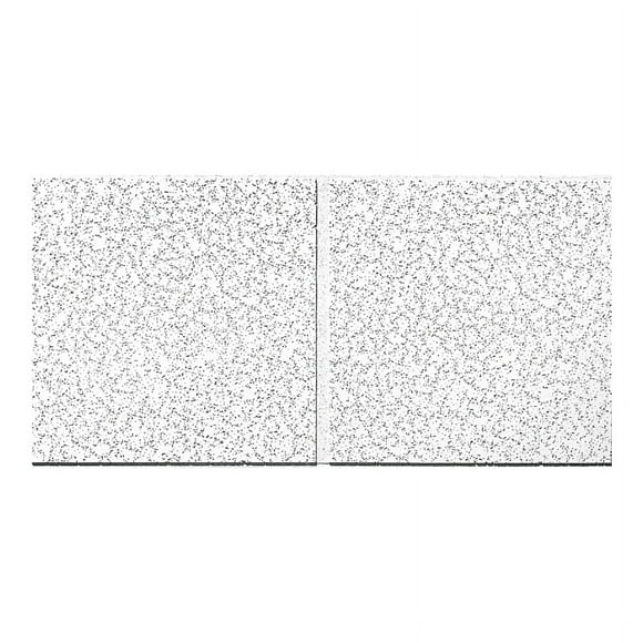 2x4 Ceiling Tiles