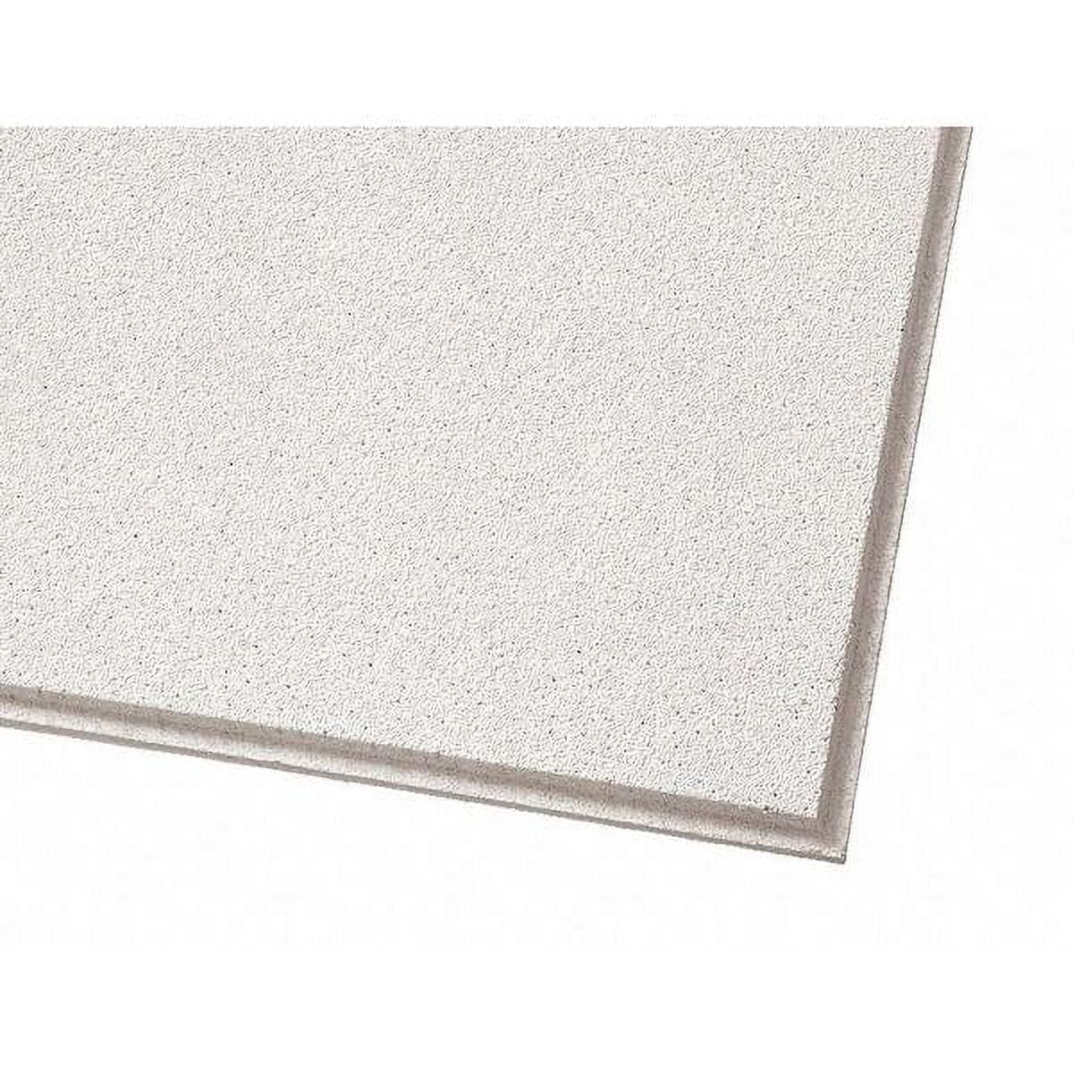 Armstrong Ceiling Tile,24 in L,24 in W,PK12 1853 - Walmart.com