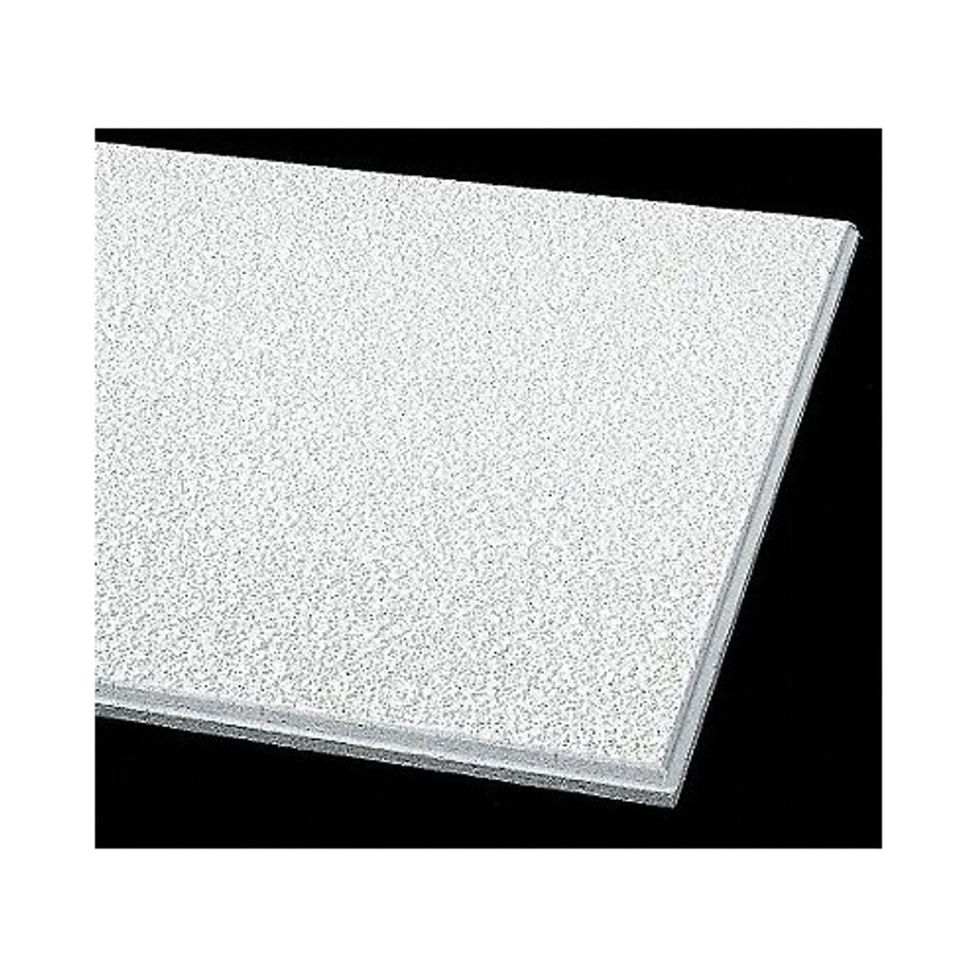 Armstrong Ceiling Tile,24 in L,24 in W,PK12 304A - Walmart.com