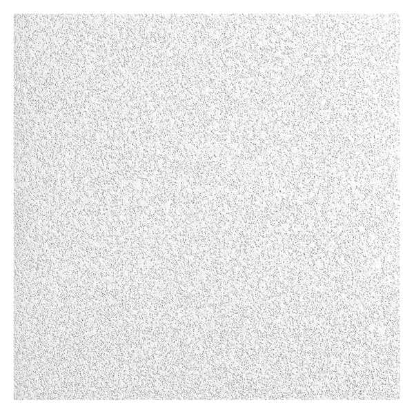 Armstrong Ceiling Tile,24 in L,24 in W,PK12 3114EPB - Walmart.com