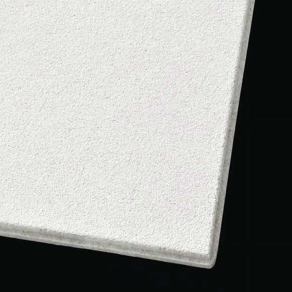 Armstrong Ceiling Tile,24 in L,24 in W,PK12 682 - Walmart.com