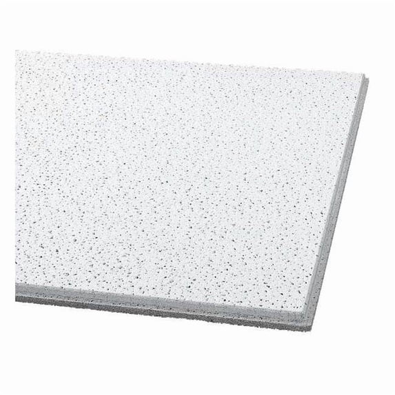 Armstrong World Industries 24x24 Inch Ceiling Tile, Beveled Tegular ...