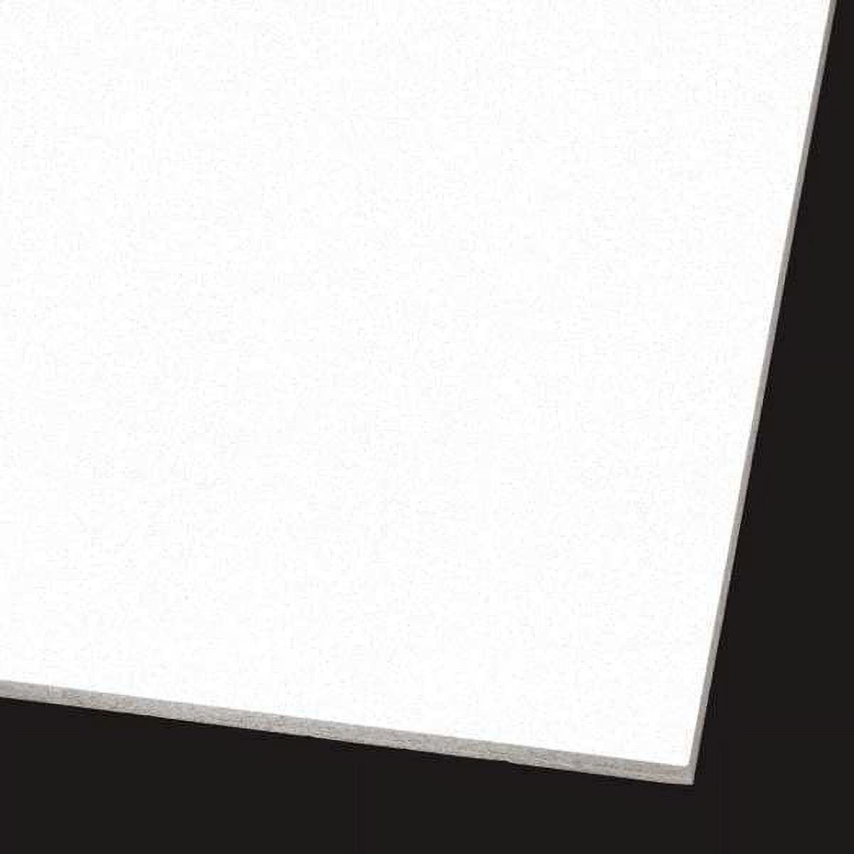 Armstrong Ceiling Tile,48 in L,24 in W,PK6 1938A - Walmart.com