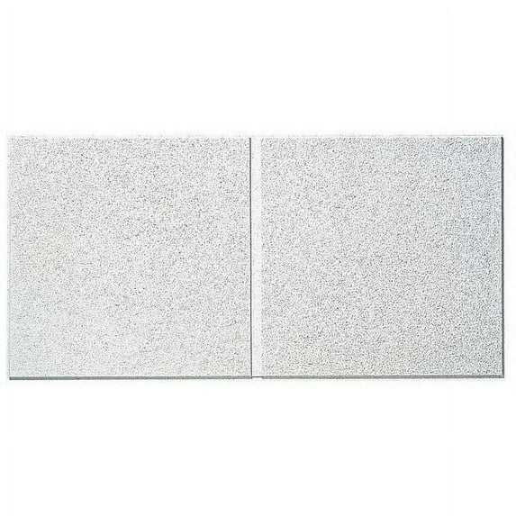 Armstrong Ceiling Tile,48 in L,24 in W,PK6 510A - Walmart.com