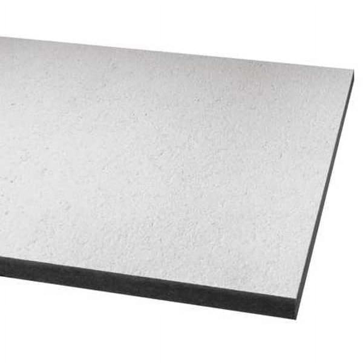 Armstrong Ceiling Tile,48 in L,24 in W,PK6 605C - Walmart.com