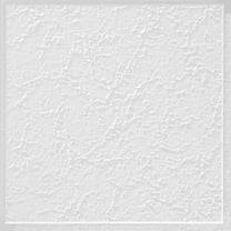 Armstrong Ceiling Tile,24 in L,24 in W,PK12 1920A - Walmart.com