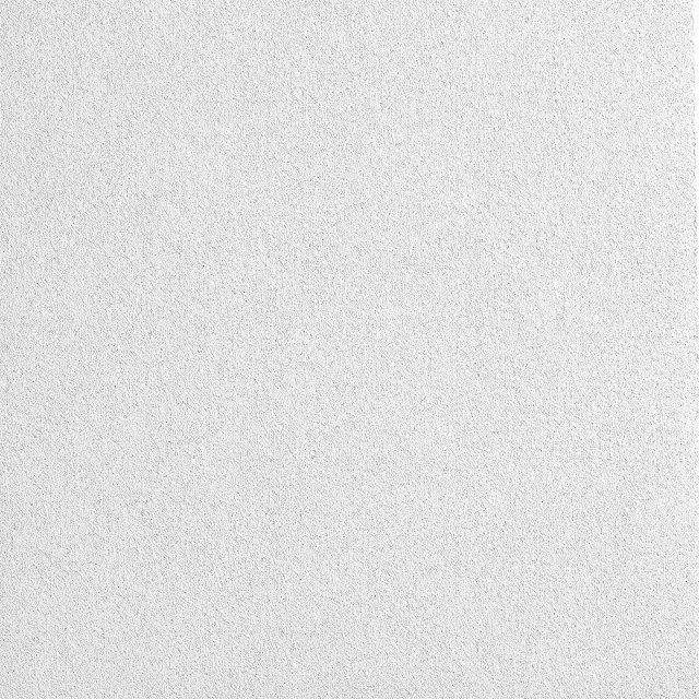 Armstrong Ceiling Tiles; 2x2 Ceiling Tiles - 10 pcs White Ceiling Tiles ...