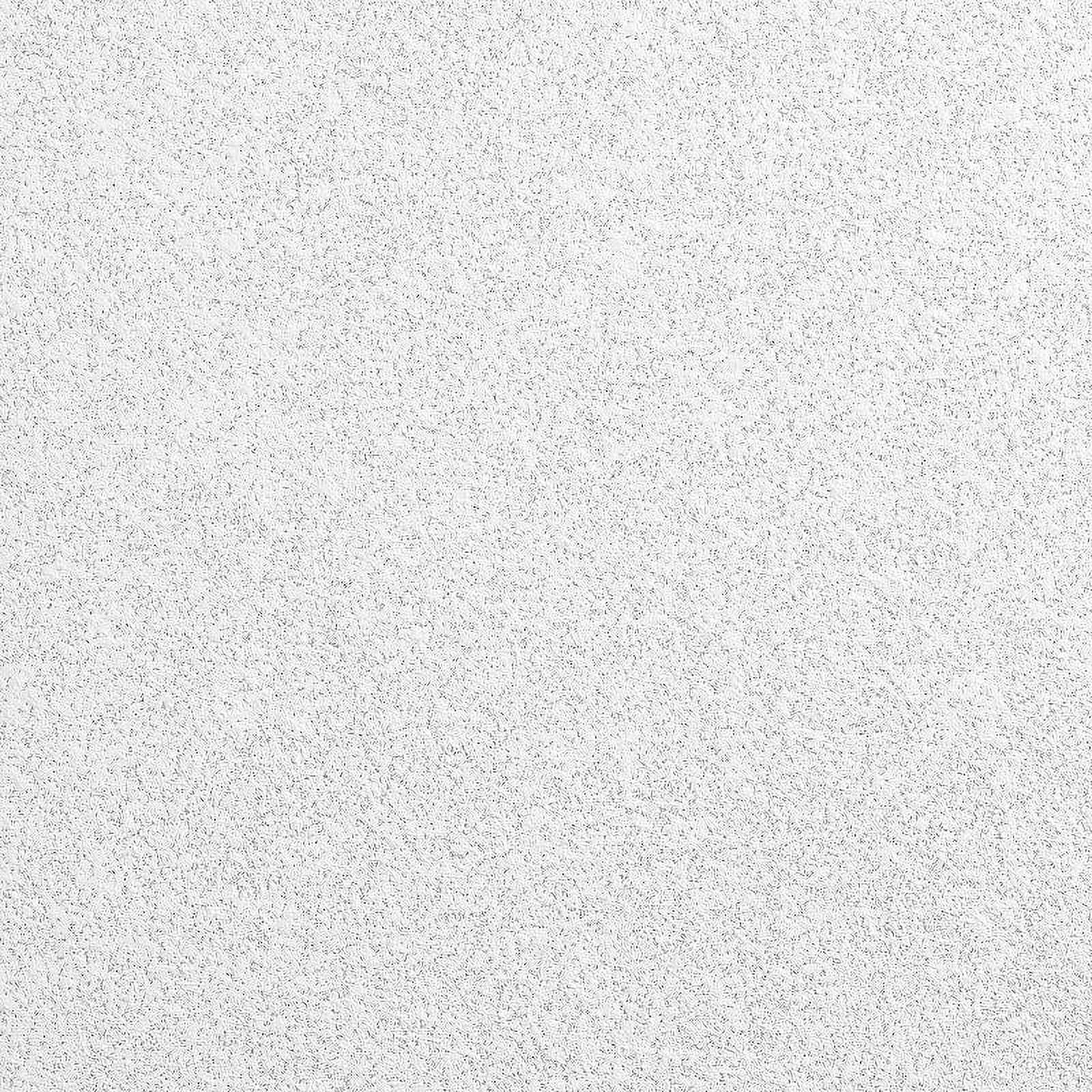 Armstrong Ceiling Tiles; 2x2 Ceiling Tiles - 12 pcs White Ceiling Tiles ...